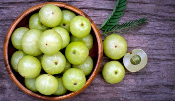 Superfood For Hair: The Biggest Benefits Of Adding Amla To Your Routine